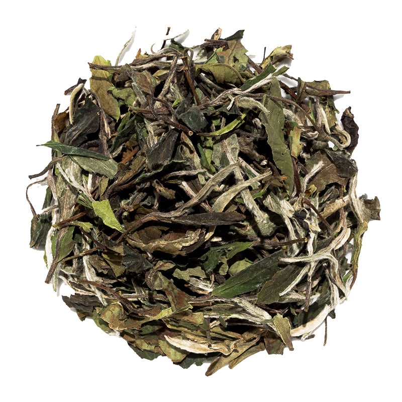 Té Blanco Puro - Amate Casa de Té